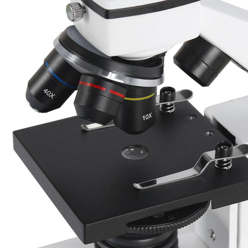 Professional Biological Microscope for Laboratory